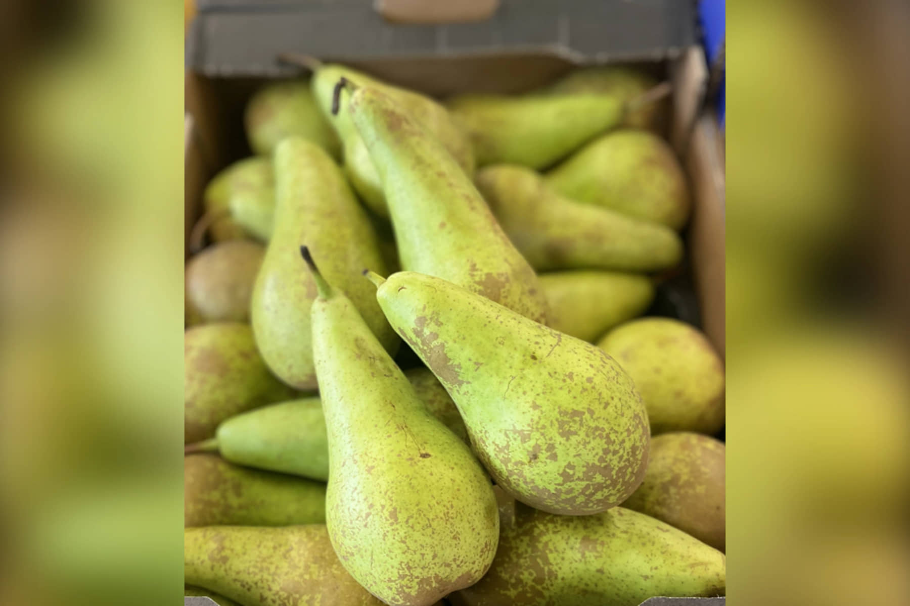 SARL La Ferme des Perrières, producteur local en vente directe - local ...